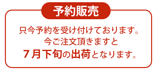 ペルチェ素子デバイス搭載の冷却フローズンベストEF92392モバイルバッテリーセット